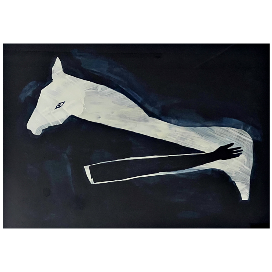 Collections – The Curators